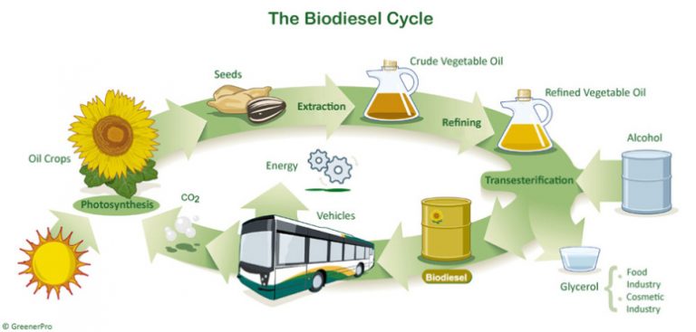 Presiden Jokowi Tekankan Pemanfaatan Biodiesel dan Energi Terbarukan ...